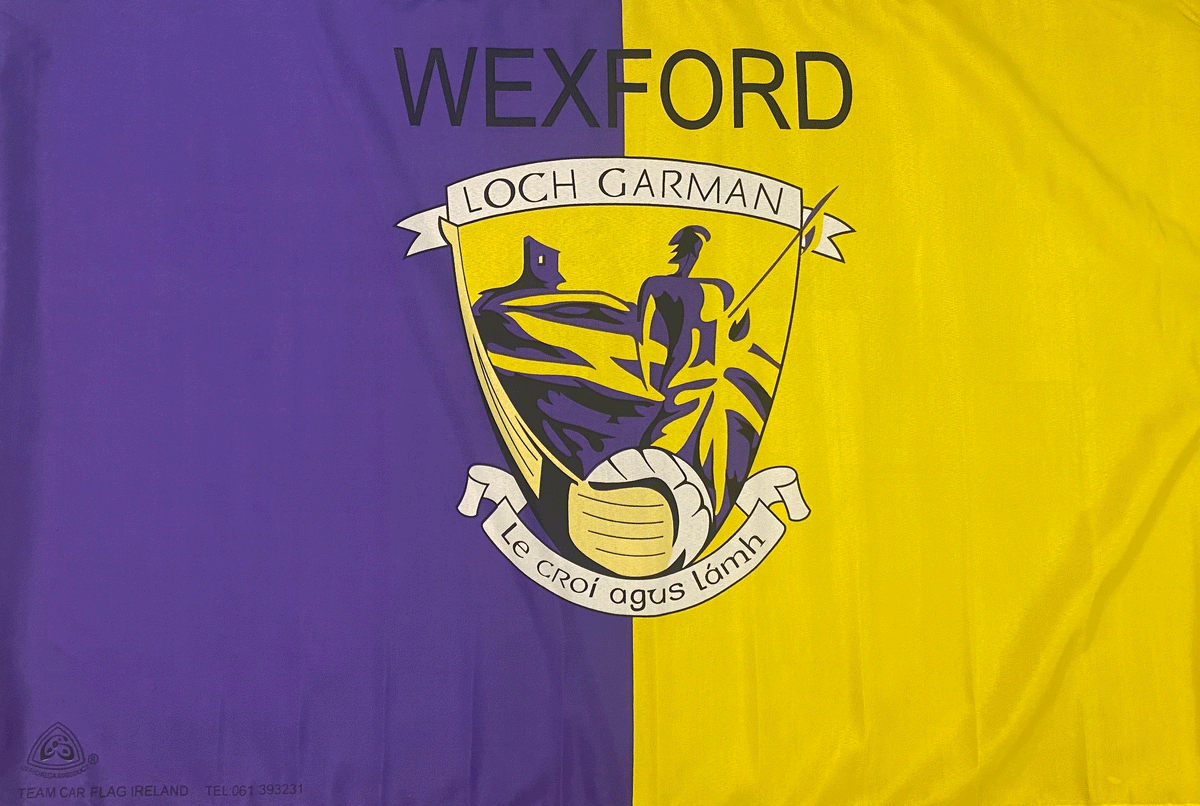Mc Keever Sports Wexford County GAA Flags – McKeever Sports UK