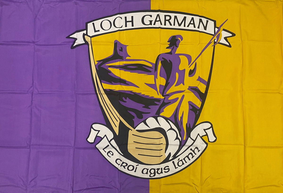 Mc Keever Sports Wexford County GAA Flags – McKeever Sports UK